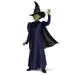 Elphaba Deluxe - Disguise